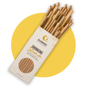 Sunbird Straws – Coconut leaf drinking Straws and pens